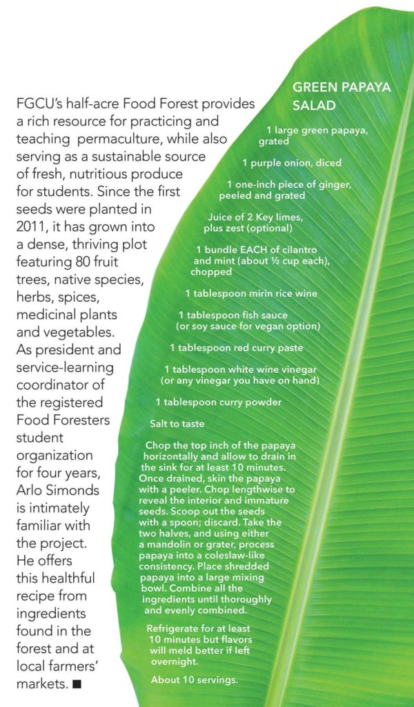 From the Food Forest to the kitchen - FGCU 360